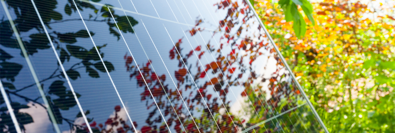 Unternehmen - Consilium